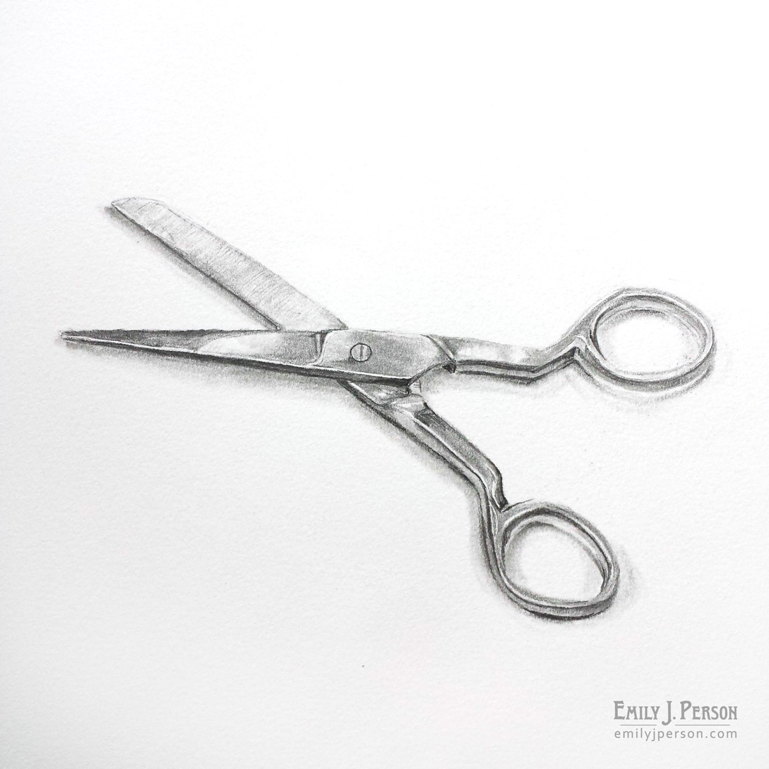 drawings + studies | Emily J. Person | Book Illustrator