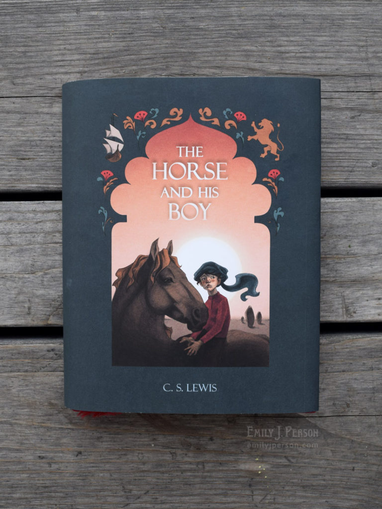 book covers | Emily J. Person | Book Illustrator